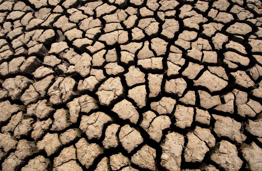 Causes, Effets Et Solutions Impressionnantes à L'érosion Des Sols | Duraabl