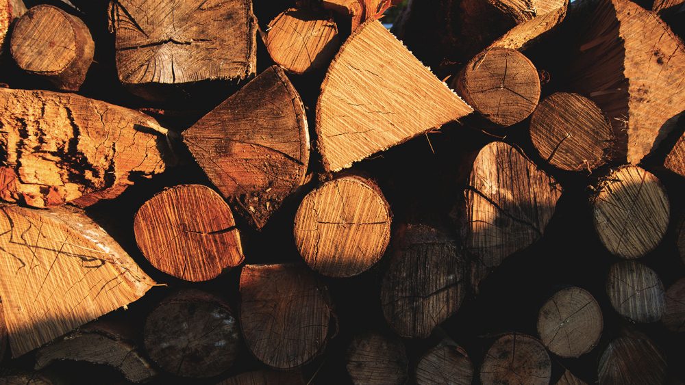 Le Bois Est-il Recyclable ? (et 5 Façons De Réutiliser Le Vieux Bois ...