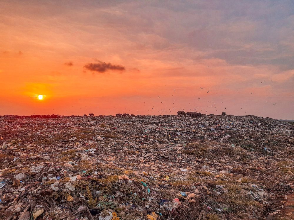 Les Causes, Les Effets Et Les Solutions De La Pollution Des Sols : Vous ...