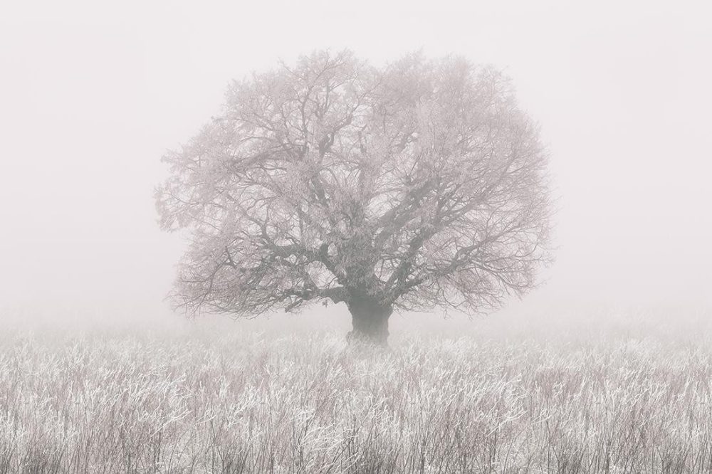 25+ Méthodes Super Faciles Pour Commencer à Vivre Un Mode De Vie ...