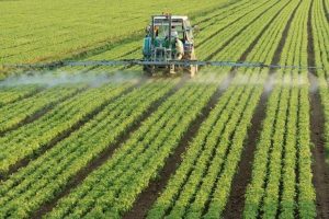 Causes, Effets Et Solutions De La Pollution Agricole Sur Notre ...