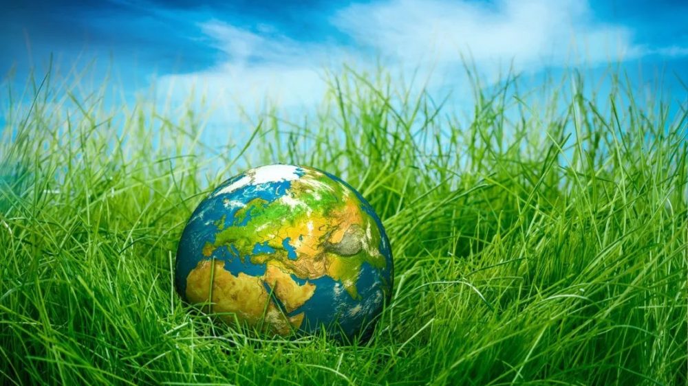 25 Idées Différentes Pour Célébrer La Journée De La Terre | Duraabl