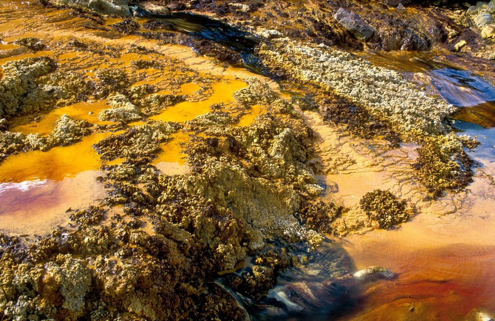 Les Différentes Causes Et Les Effets De La Pollution Du Sol | Duraabl