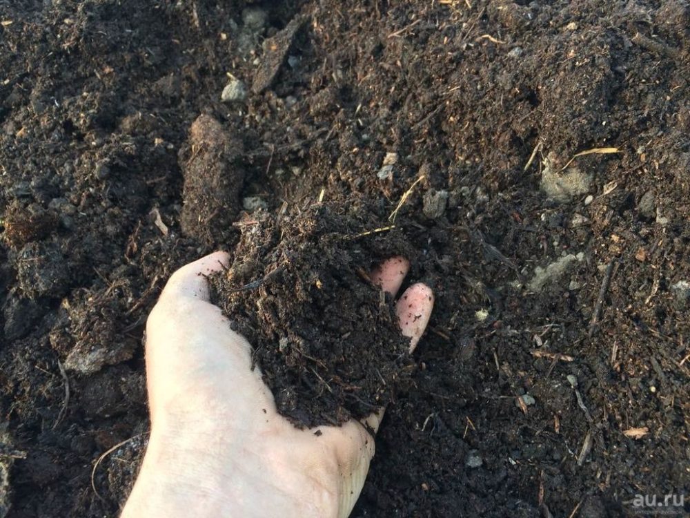 Qu'est-ce Que L'humus Et 13 Avantages Extraordinaires De L'humus Pour ...