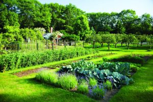 Qu'est-ce Qu'un Verger ? (5 Conseils Pour Démarrer Votre Propre Verger ...