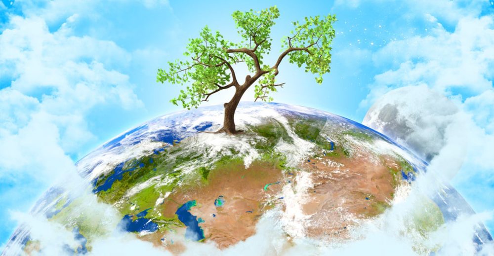 Qu'est-ce Que La Journée Mondiale De L'environnement Et Quelles Sont ...