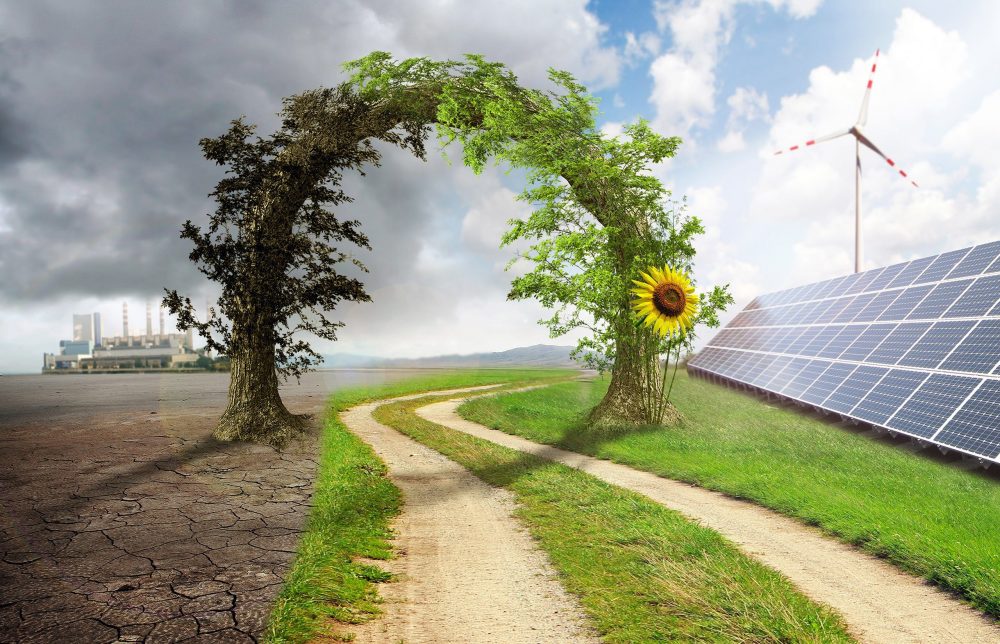 Panneaux Solaires : Une Solution Innovante Pour Un Avenir Durable | Duraabl